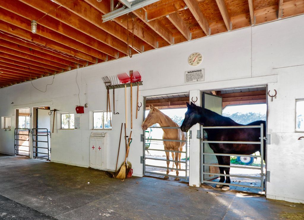 6 idyllic homes for horse lovers | The Week