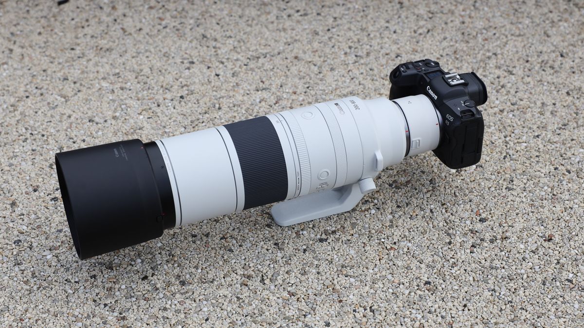 Canon RF 200-800mm f/6.3-9 IS USM review: all hail the new superzoom ...