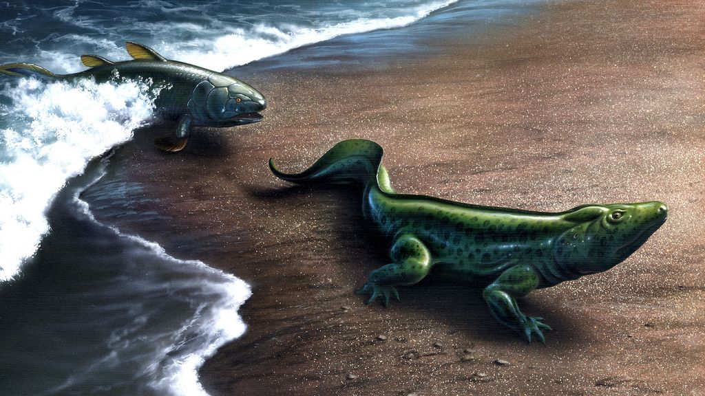 Evolution itself can evolve, new study argues | Live Science