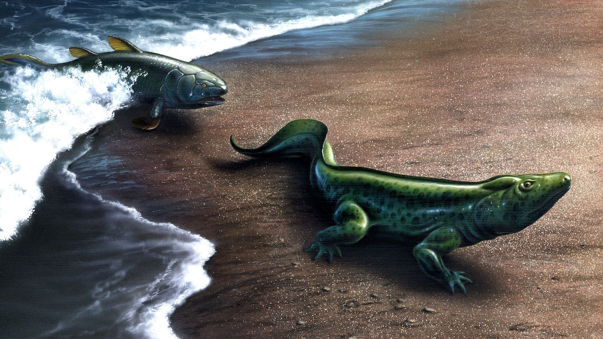 Evolution itself can evolve, new study argues | Live Science