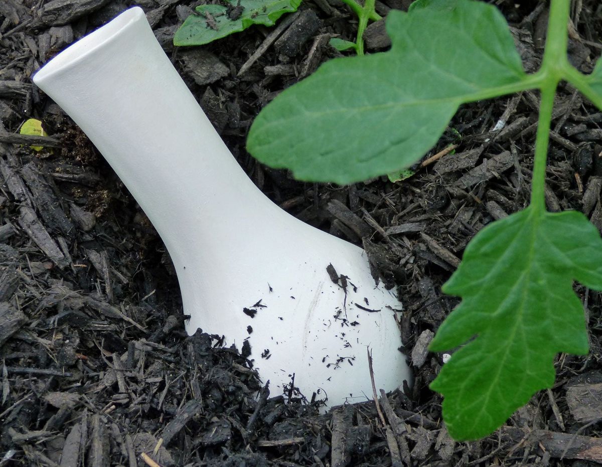 Olla Irrigation Techniques And Tips - Using Self-Watering Olla Pots ...