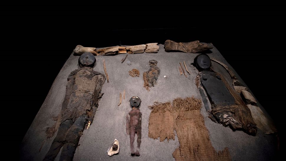 7 famous mummies and secrets they've revealed about the ancient world ...