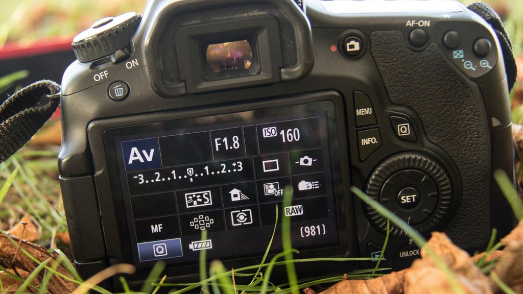 How to capture creative autumn shots | Digital Camera World