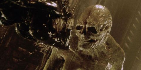 From A To Xenomorph: The 14 Different Creatures In The Alien Franchise ...