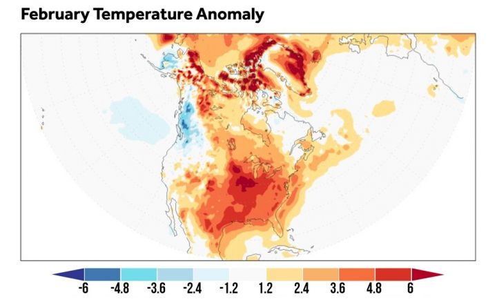 February's Warmth, Brought to You by Climate Change | Live Science