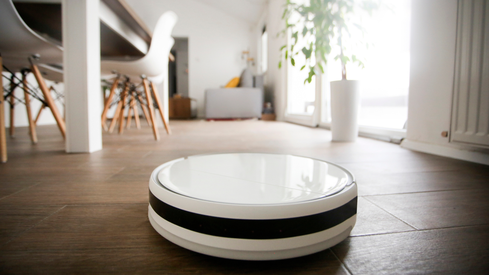 Expert reveals what you need to know before buying a robot vacuum ...