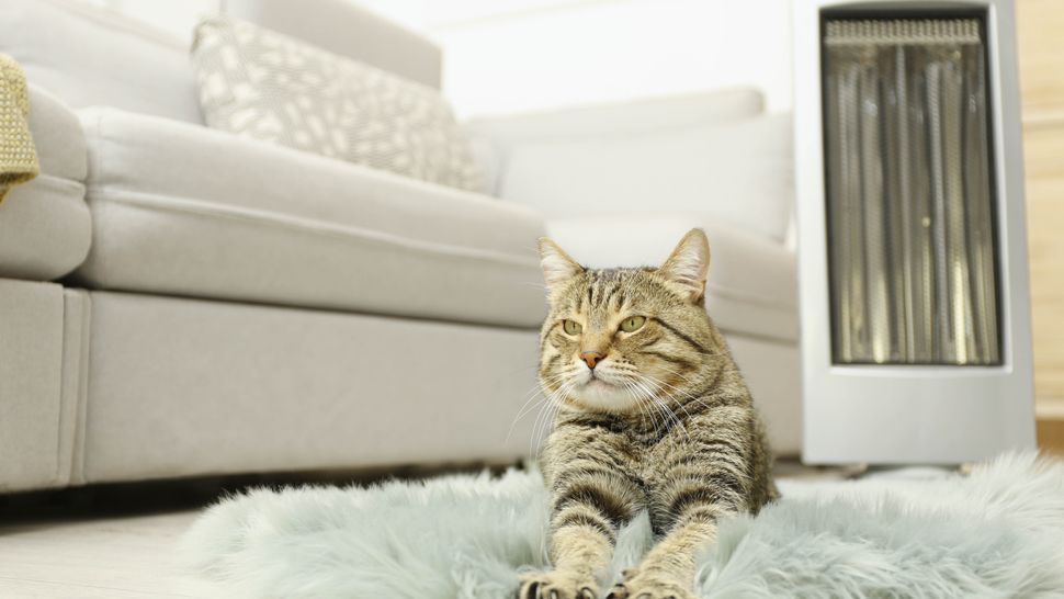 Is it safe to use a space heater at night? Here’s what the experts say ...