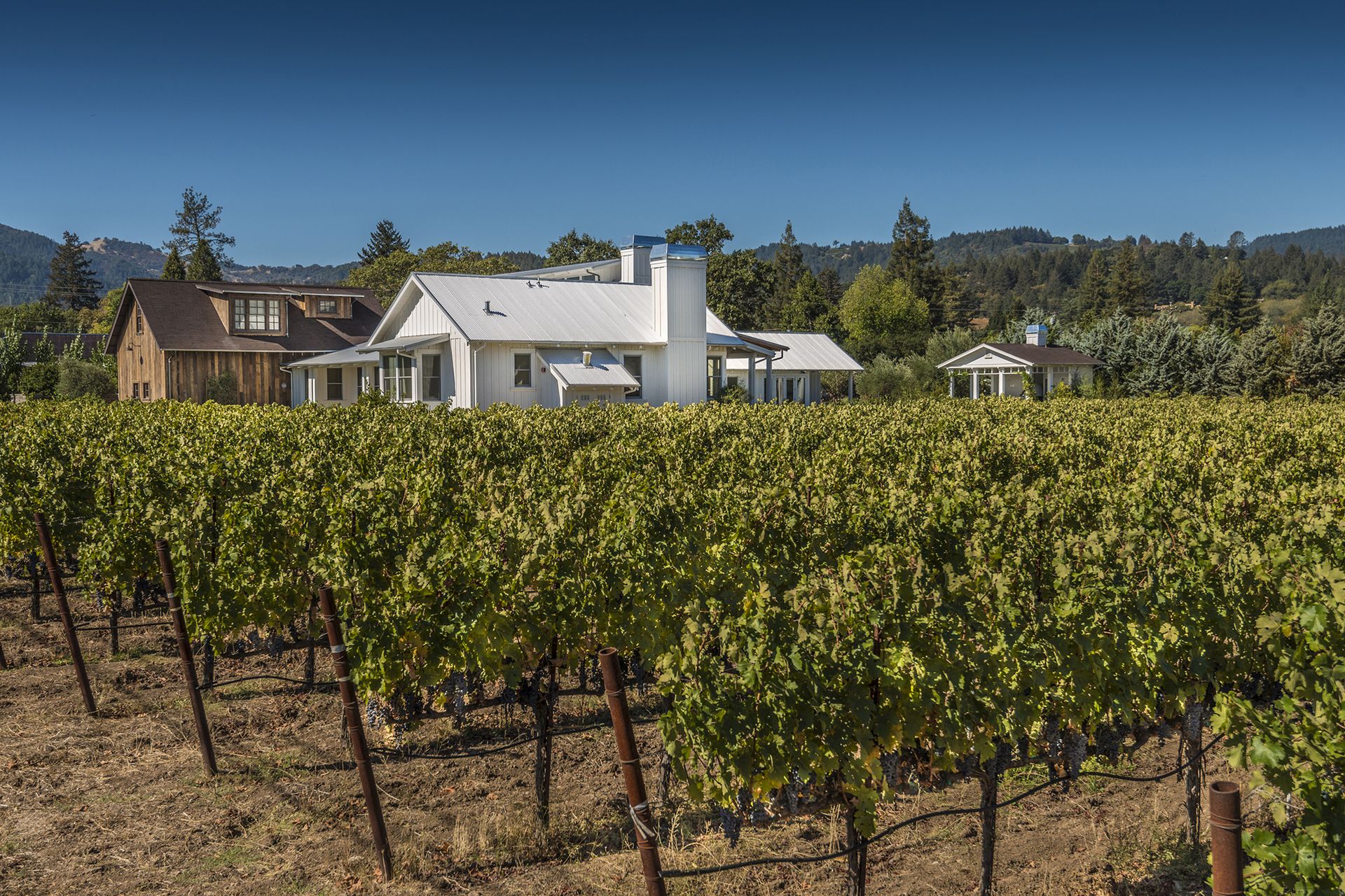 6 beautiful homes for wine lovers | The Week