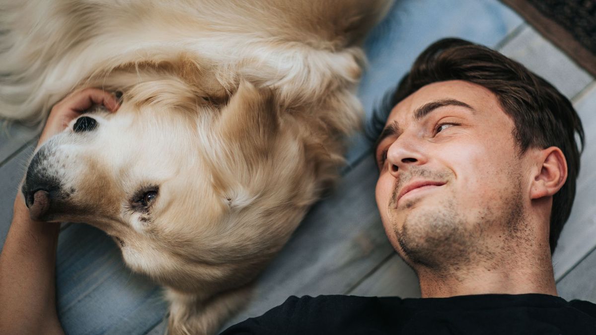 Ways to spot if your dog’s smarter than you think | PetsRadar