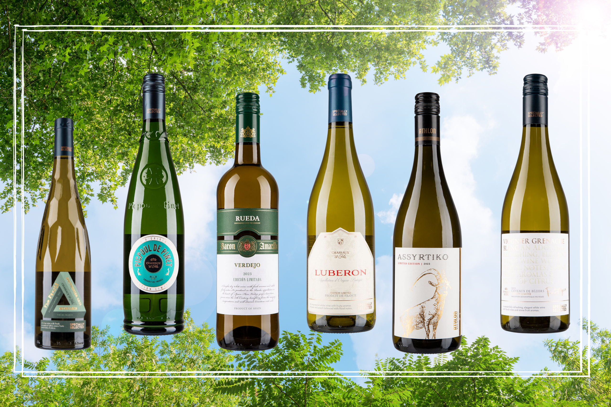Best Aldi wines: The best award-winning wines to buy at Aldi | GoodtoKnow