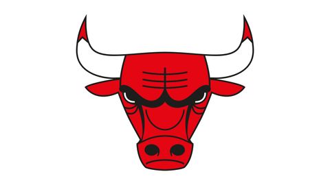 Viral Chicago Bulls logo concept has a clever hidden reference ...