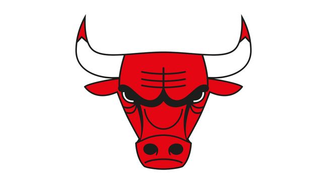 Viral Chicago Bulls logo concept has a clever hidden reference ...