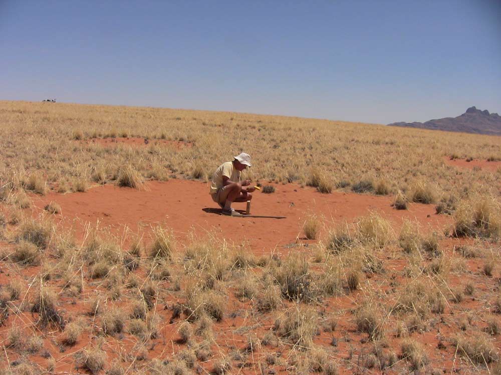 In Photos: Mystical Fairy Circles Grace African Desert | Live Science