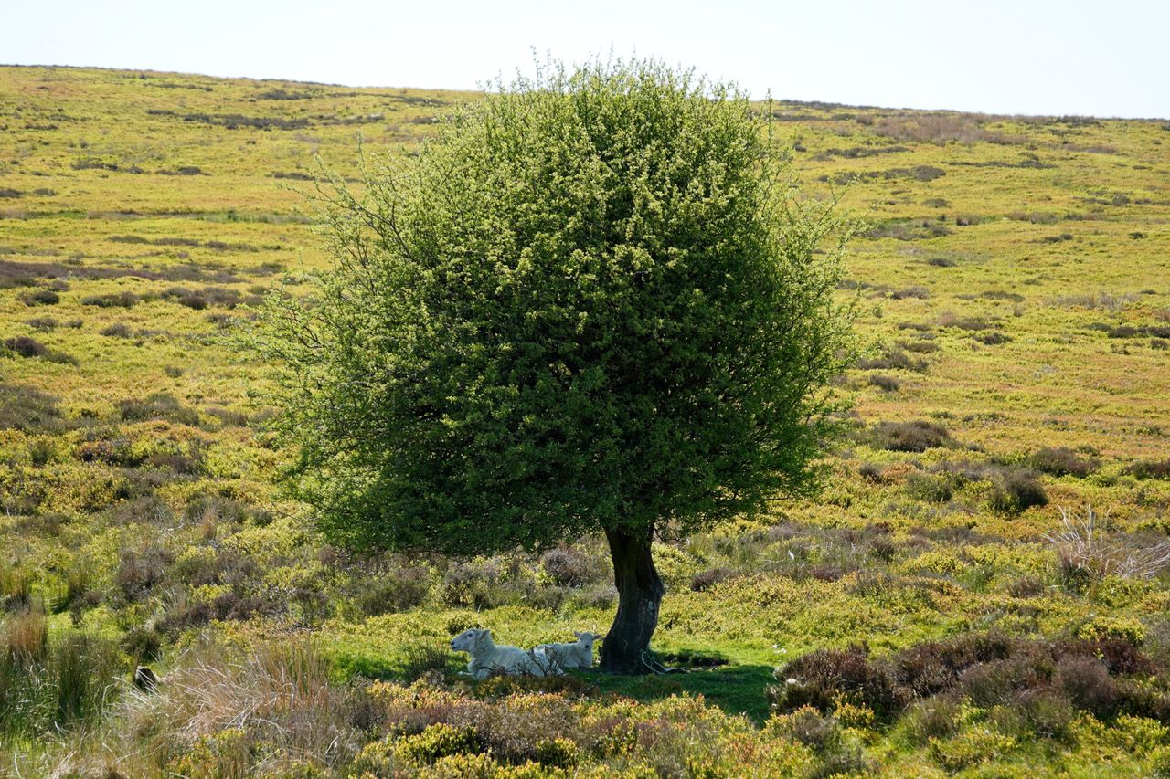 8 things we learnt from riding the 100-mile Trans-Cambrian Way through ...