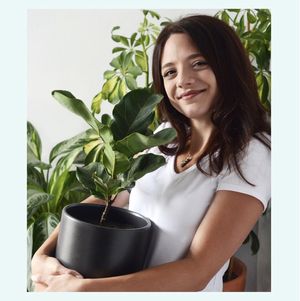 How to care for a frizzle sizzle plant: 3 expert tips