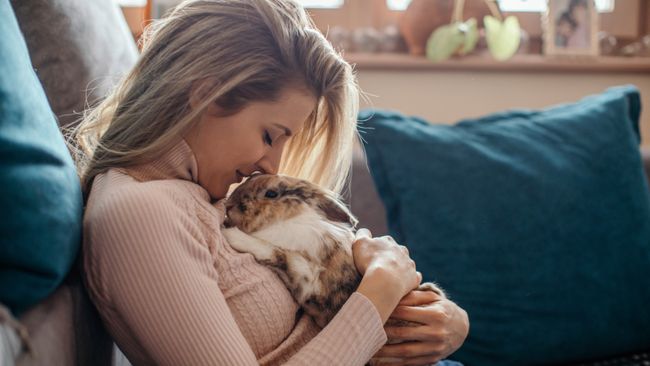 32 tips for taking care of rabbits | PetsRadar