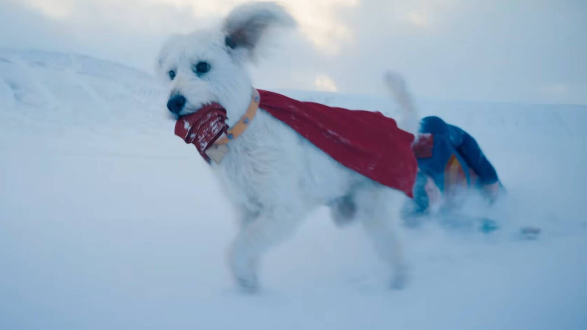 One Superman actor reveals a Krypto scene was cut because it did ...
