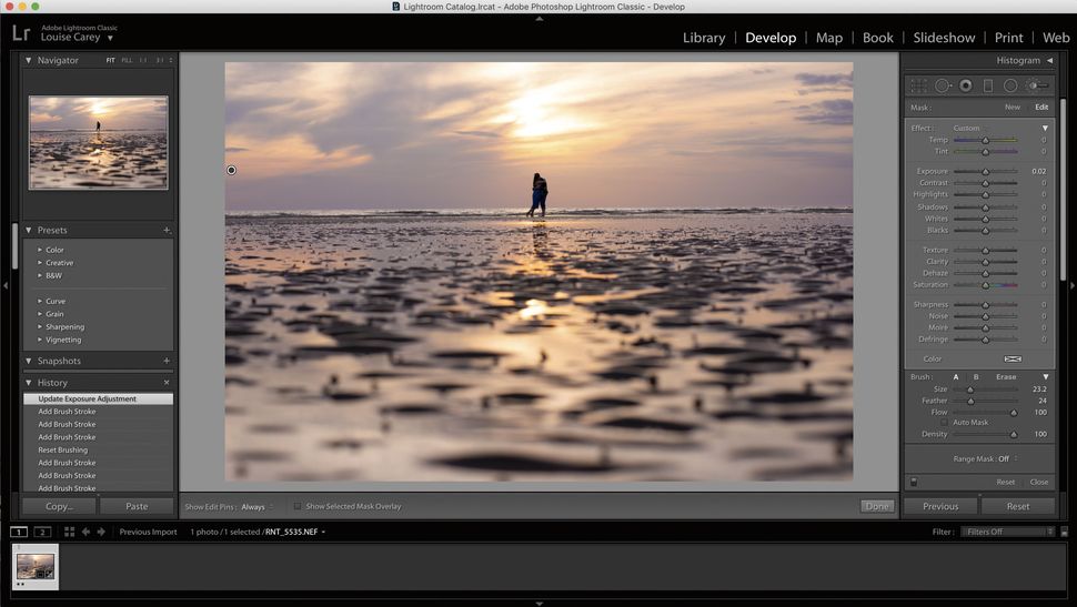 How to use Lightroom Classic: Use the Adjustment Brush to edit specific ...