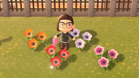How to create hybrid flowers in Animal Crossing New Horizons | GamesRadar+