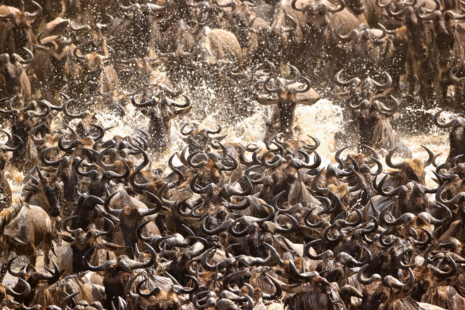 The week's best photojournalism | The Week