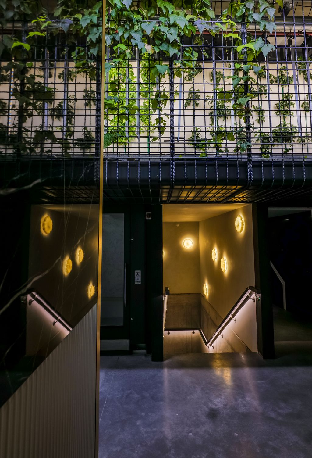 Roe restaurant review: coral-like interiors and culinary innovation ...