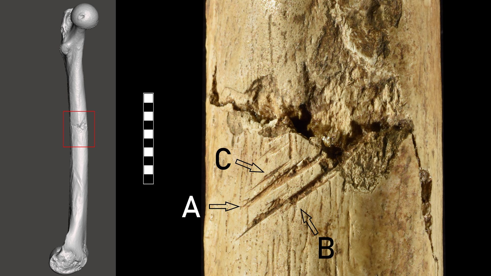 'It was probably some kind of an ambush': 17,000 years ago, a man died ...