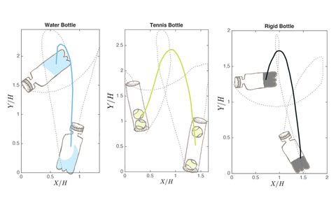 Secrets of the Perfect Water-Bottle Flip Unlocked: Thanks, Physicists ...