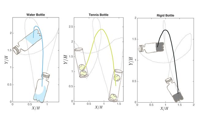 Secrets of the Perfect Water-Bottle Flip Unlocked: Thanks, Physicists ...