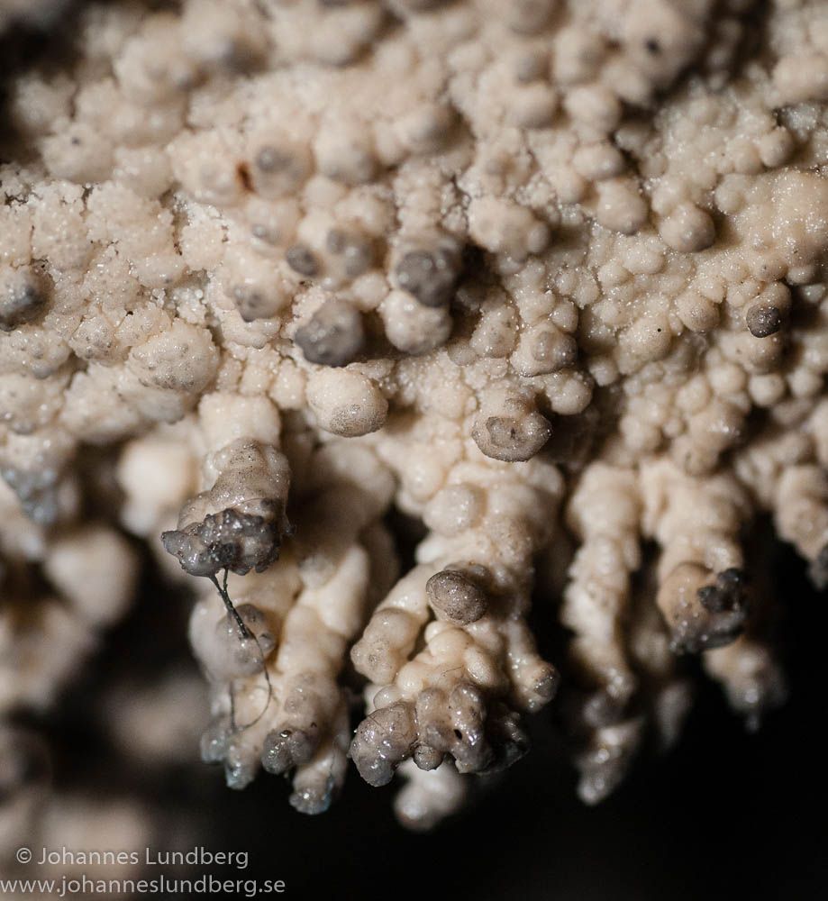 Caves - News and Scientific Articles on Live Science - Page 6 | Live ...