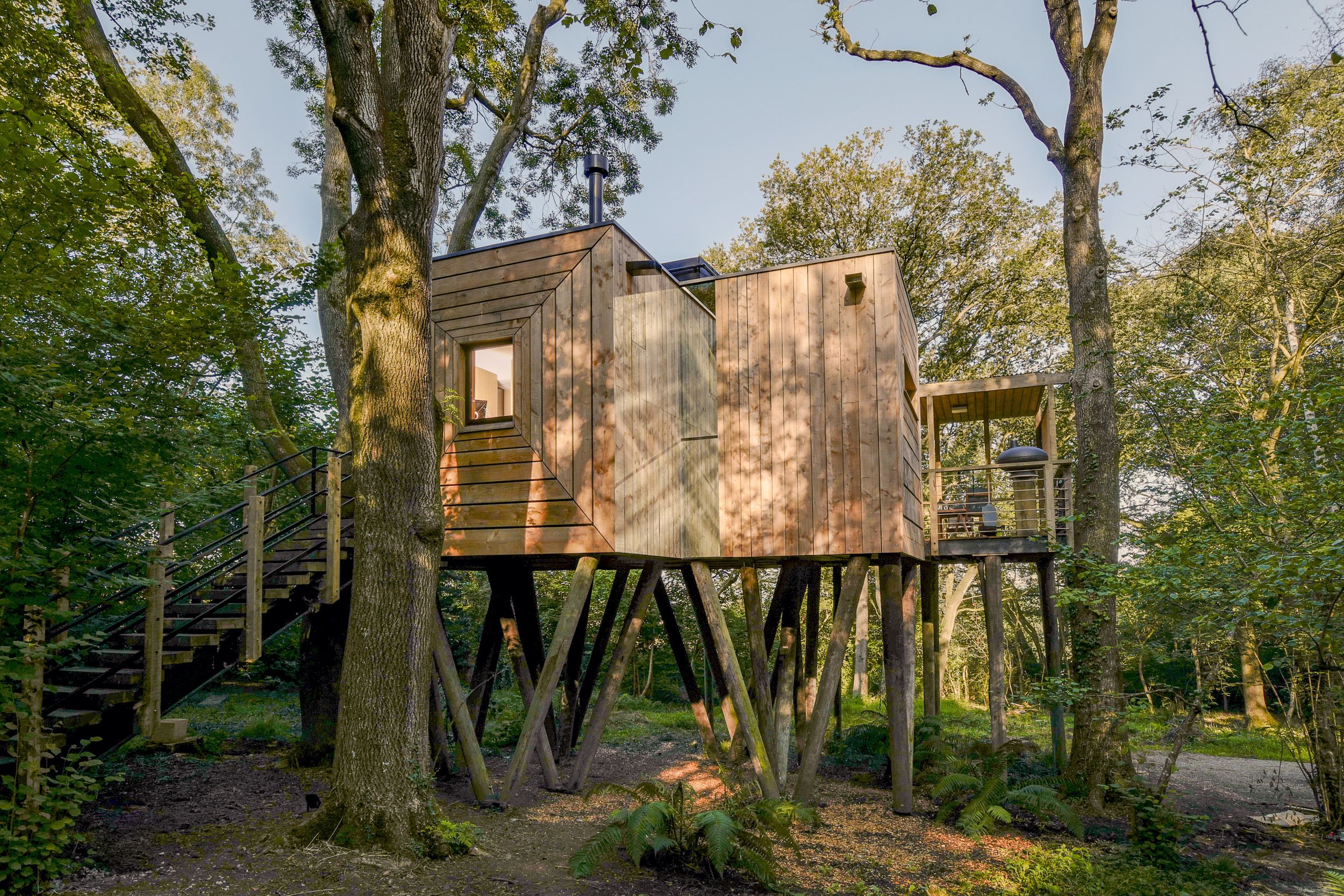 Tour a treehouse retreat for sale, deep in a Dorset forest | Wallpaper*