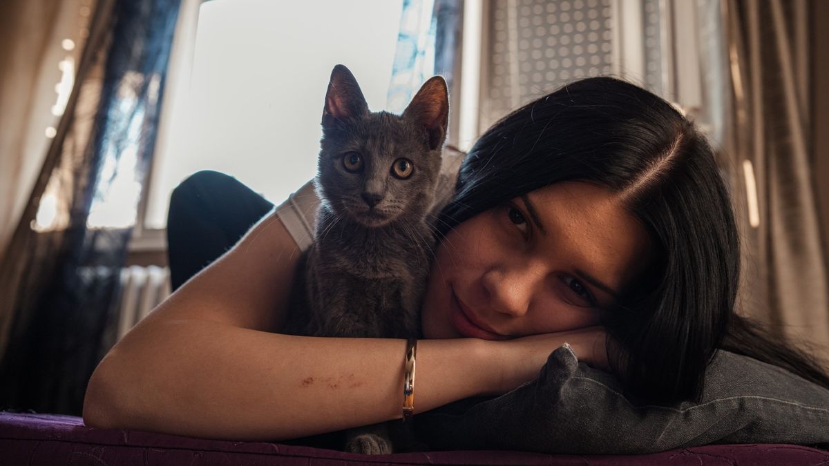 32 facts about Russian Blue cats | PetsRadar