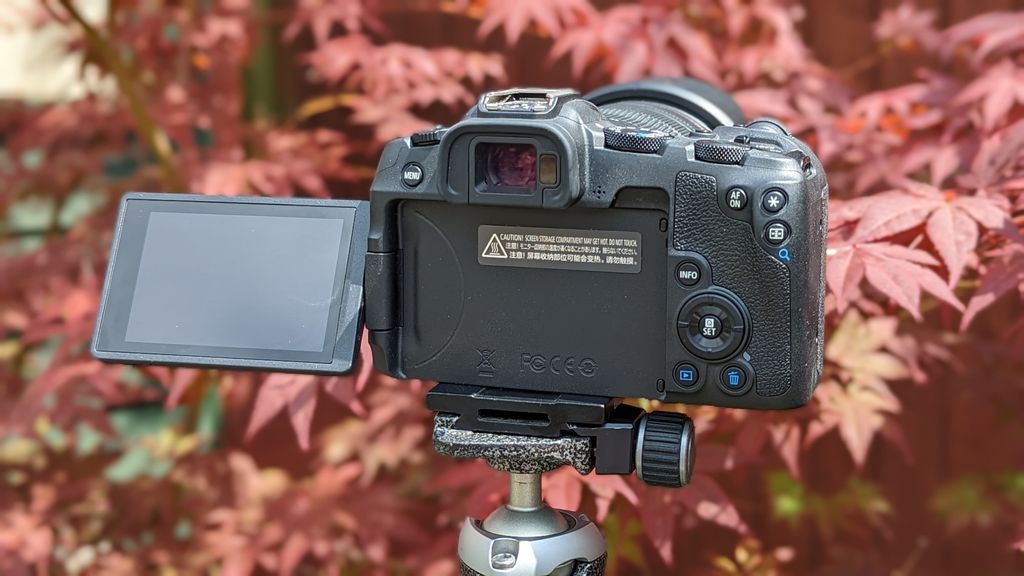 Walmart is offering $383 off the Canon EOS R8 and a wide-angle RF lens ...