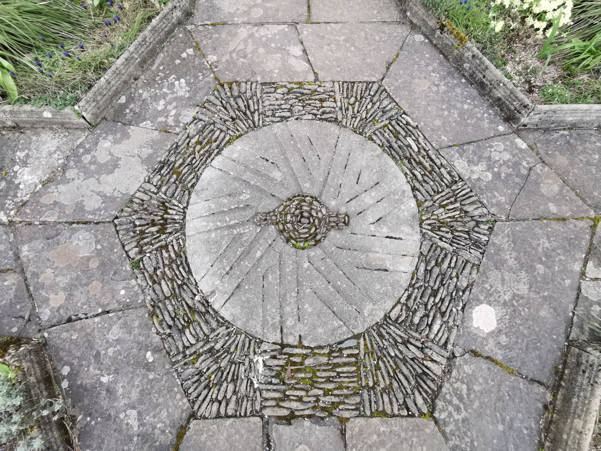 Huawei P30 Pro review: unprecedented camera, familiar design | T3