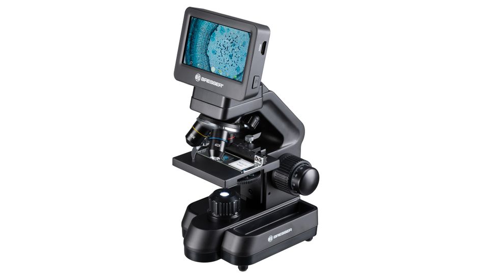 The best microscopes in 2025 | Digital Camera World