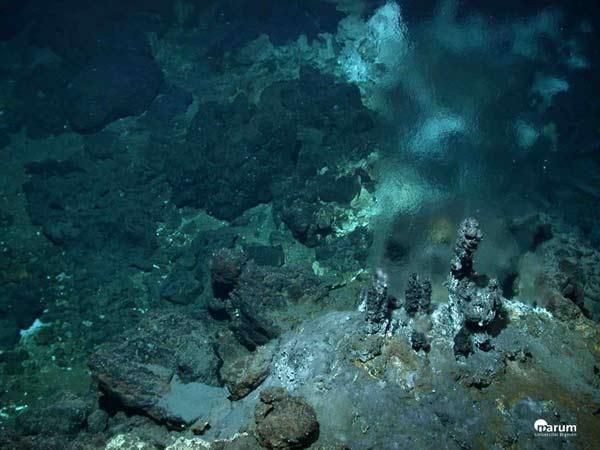 Deep Ocean Life Lives Off Waste | Live Science