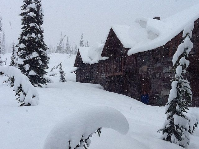Photos: June Snowstorm Hits Glacier National Park | Live Science