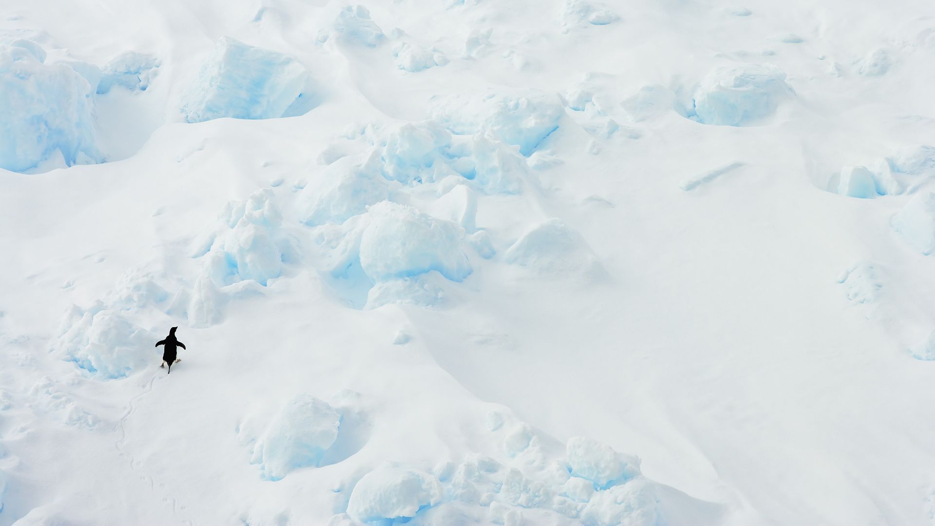 NASA is tracking two explorers across Antarctica to prepare humans for ...