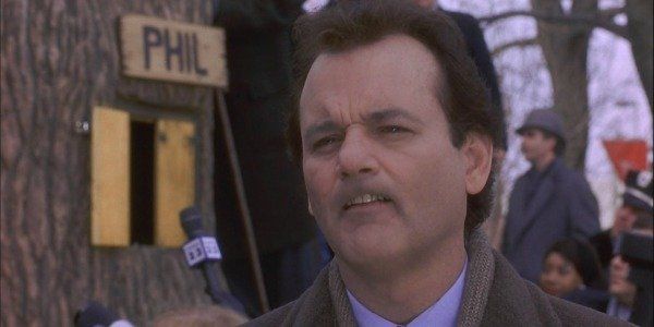 Bill Murray's 10 Funniest Roles, Ranked | Cinemablend