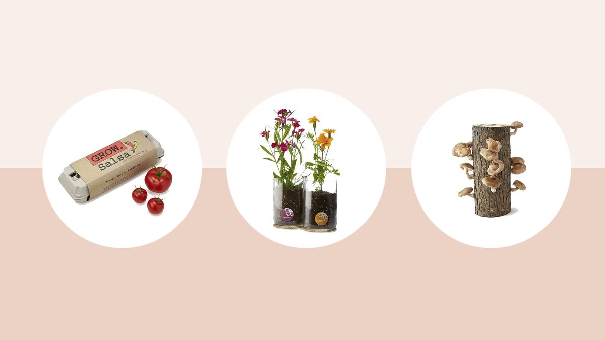 8 beautiful garden gifts that are perfect for your outdoorsy Valentine ...