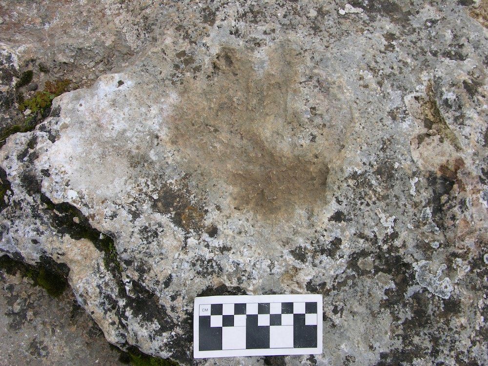 Photos: Human Footprints Help Date Ancient Tibetan Site | Live Science