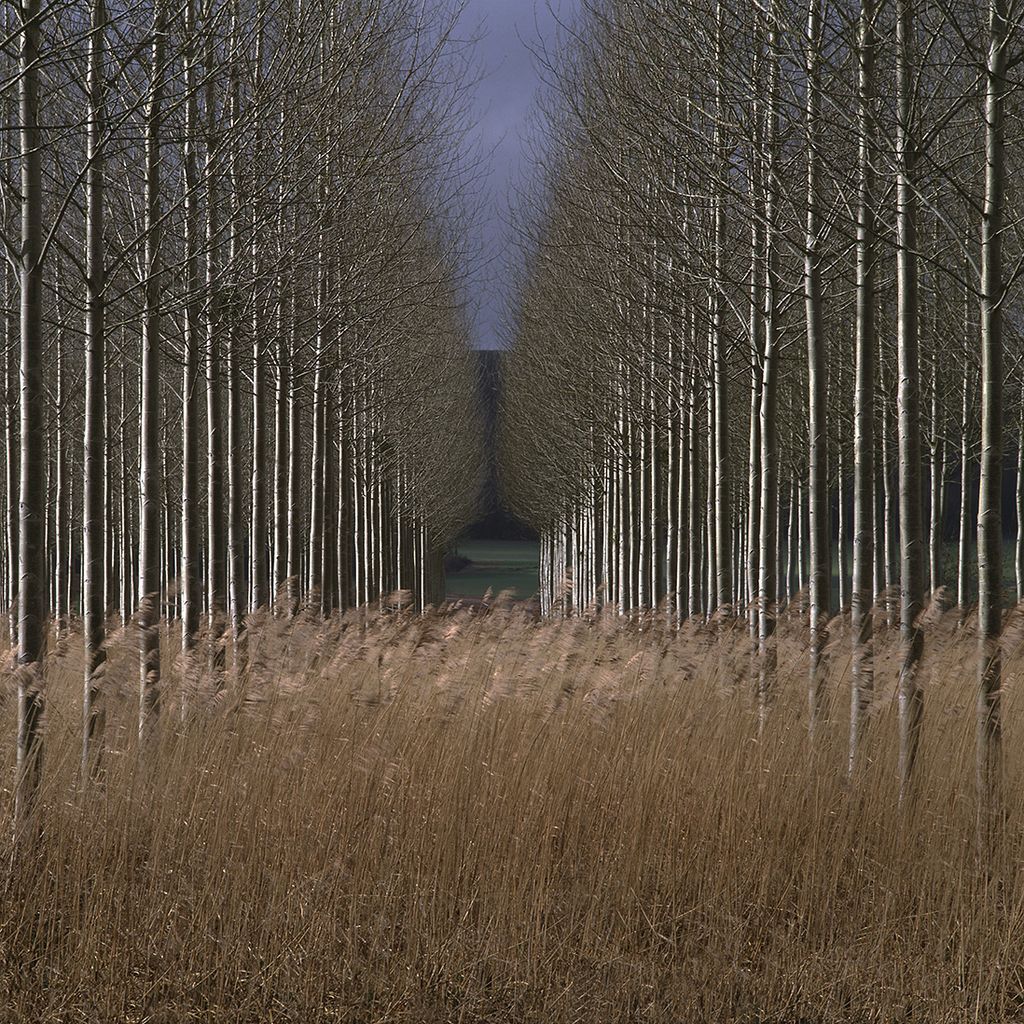 Charlie Waite's 25 top locations for landscape photography | Digital ...