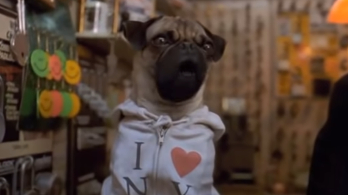 32 Movie Dogs We Want To Adopt (And Cute Pictures Of Them) | Cinemablend