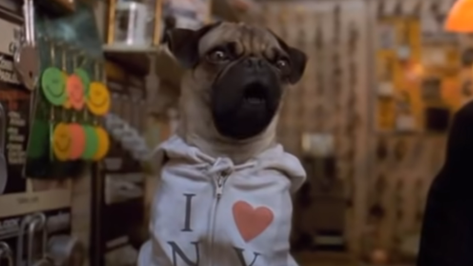 32 Movie Dogs We Want To Adopt (And Cute Pictures Of Them) | Cinemablend