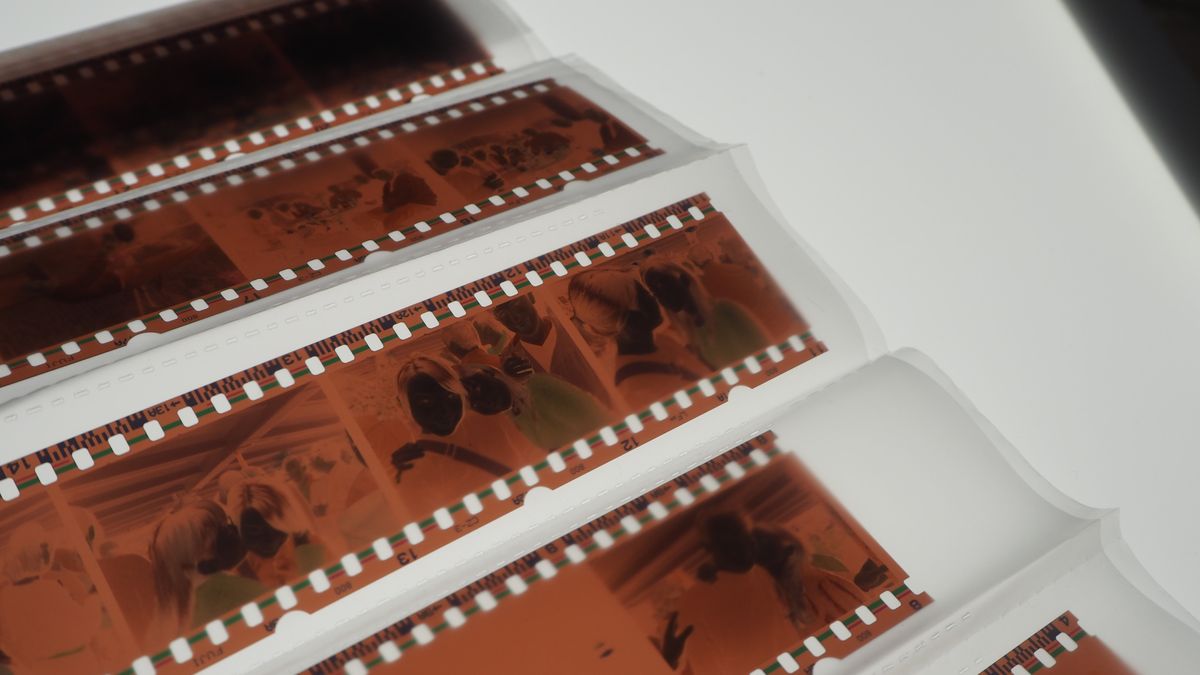 Has the film photography resurgence finally run its course? | Digital ...
