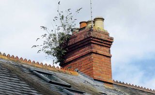 How to repair a chimney | Real Homes