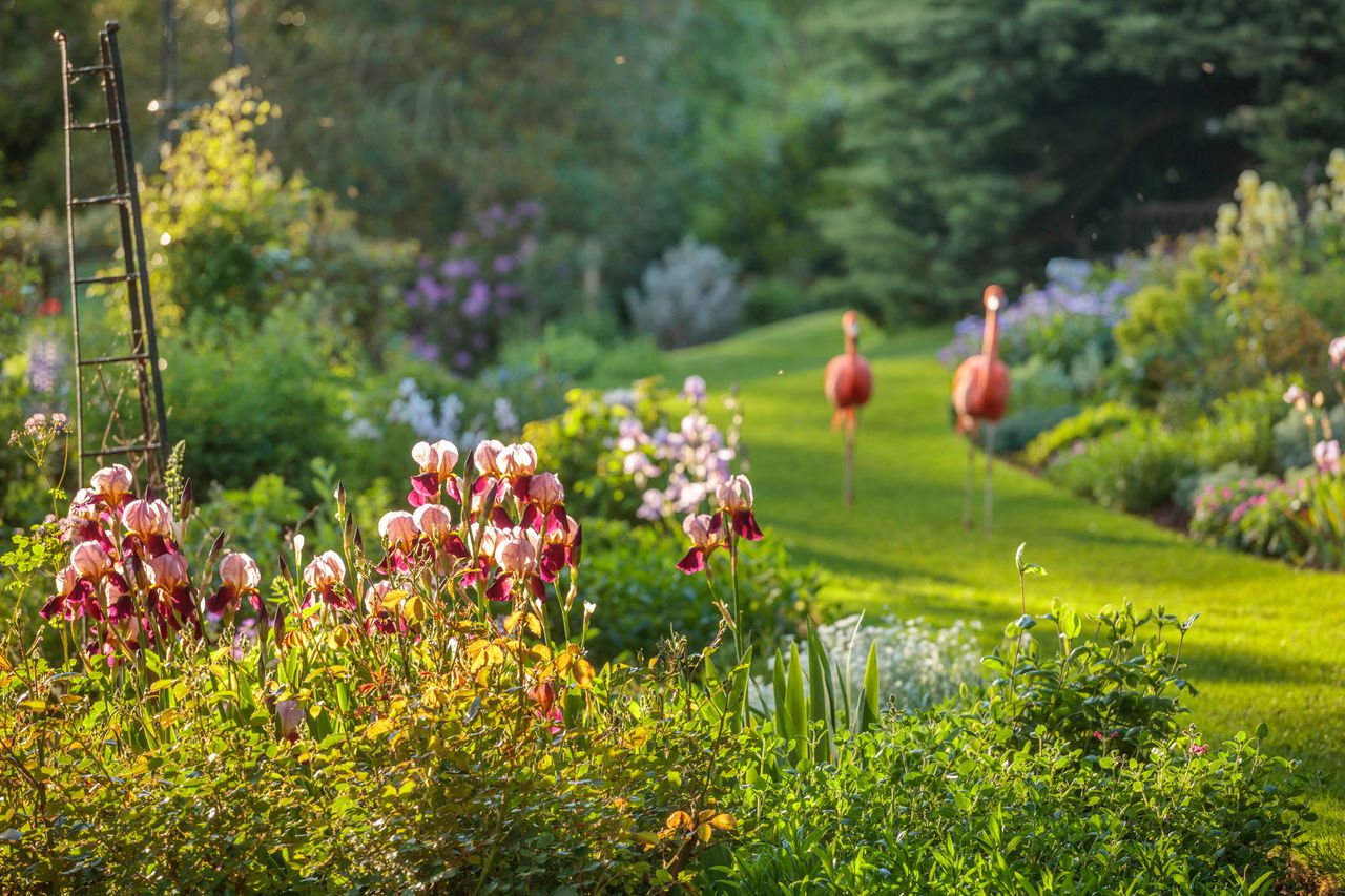 The gardens at Rockcliffe: Cold comforts that even Britain's worst ...