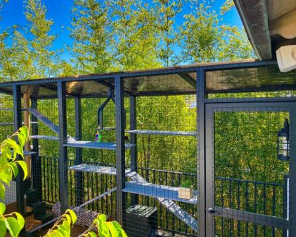 8 catio ideas for backyards of all sizes | Real Homes