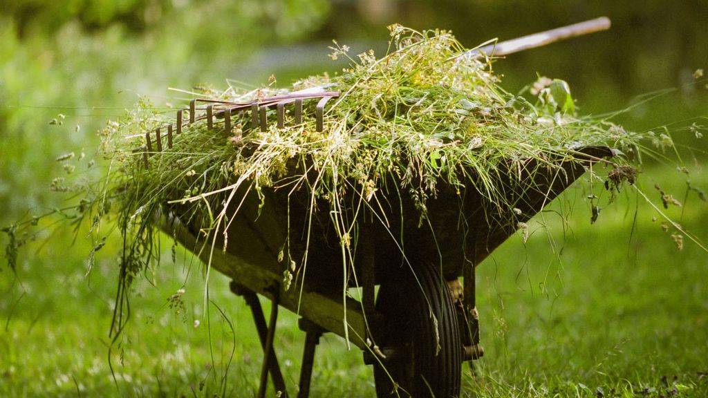 All About Weeding: How To Get Rid Of Unwanted Weeds | Gardening Know How