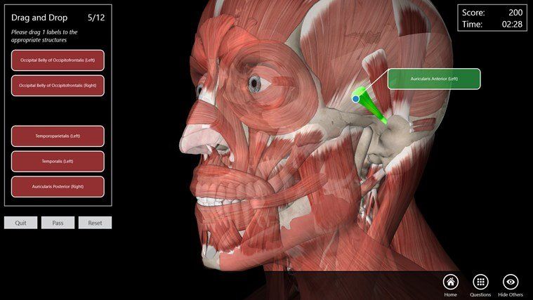 Studying anatomy this fall? Essential Anatomy 3 for Windows 8.1 is on ...