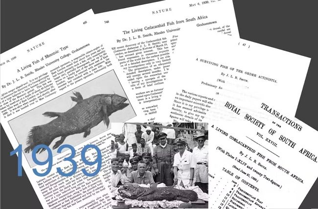 380 million-year-old remains of giant fish found in Australia. Its ...